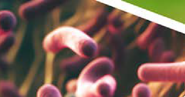 OSU Veterinary Medicine Faculty Driving Advances in Microbiome Research ...