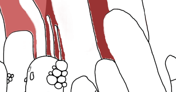 Microbiome Community Social - January | Center of Microbiome Science